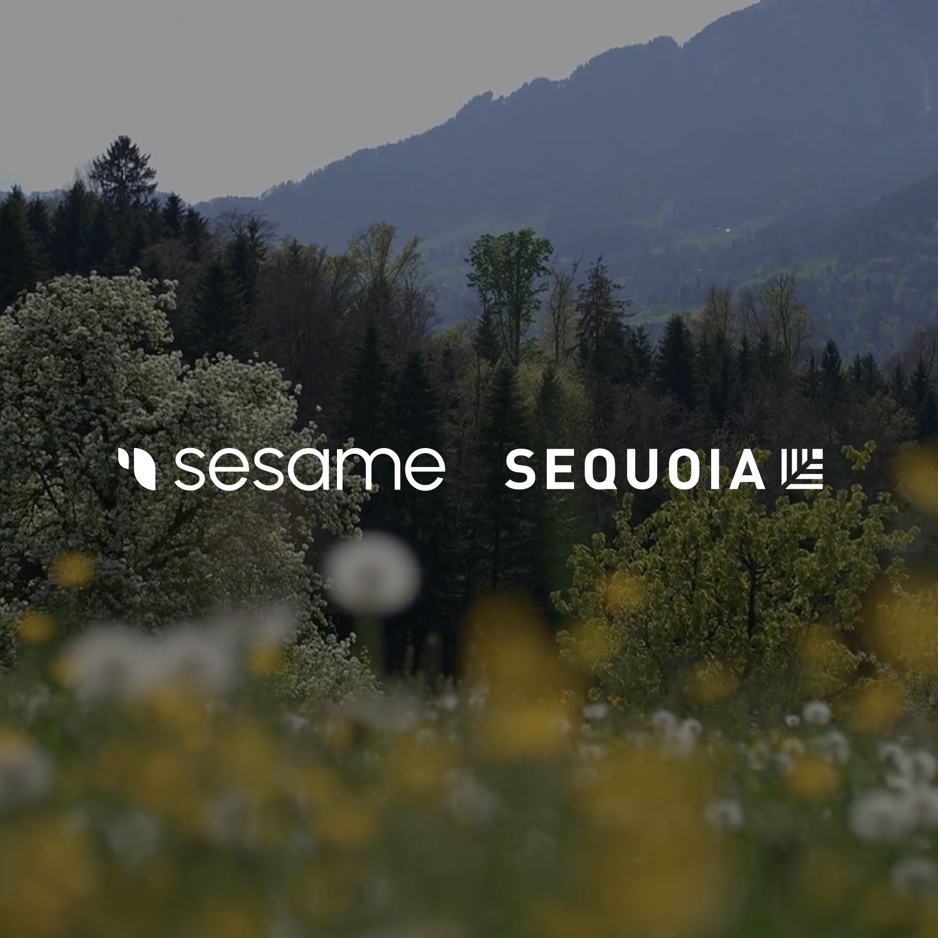 Sesame AI | Sequoia Capital